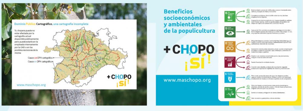 La plataforma '+CHOPO SÍ' alega al RD del MITECO por el que se prohíbe ...