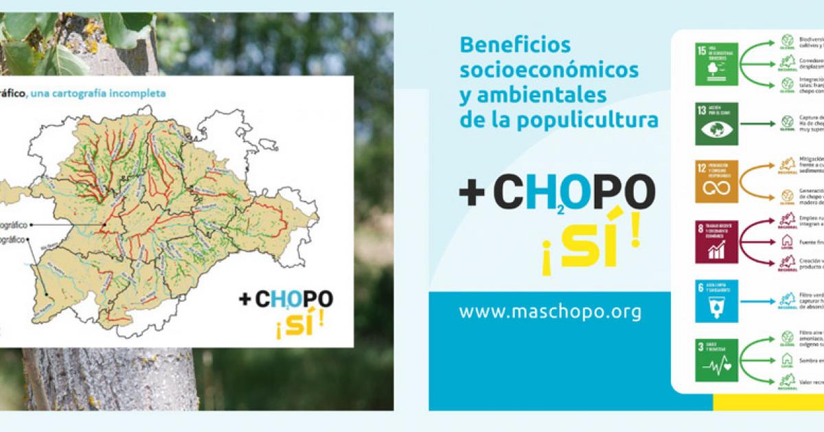 La plataforma '+CHOPO SÍ' alega al RD del MITECO por el que se prohíbe ...