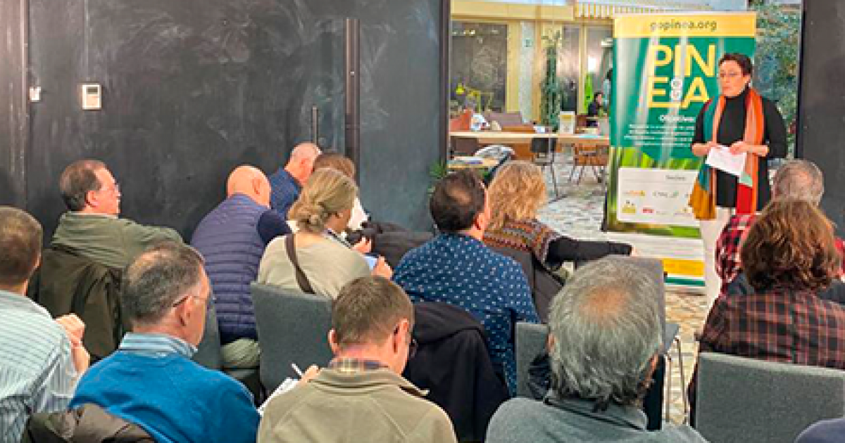 Investigadores españoles aventuran un periodo de tres años para ...