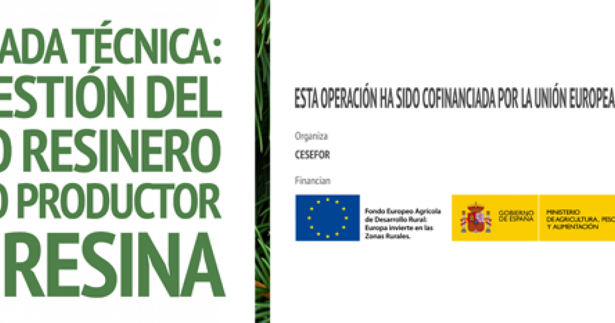 Jornada técnica sobre la gestión del pino resinero como productor de resina | Cesefor