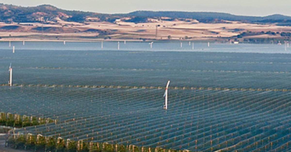 Grupo Nufri, una nueva empresa agroalimentaria que pasa a colaborar con ...